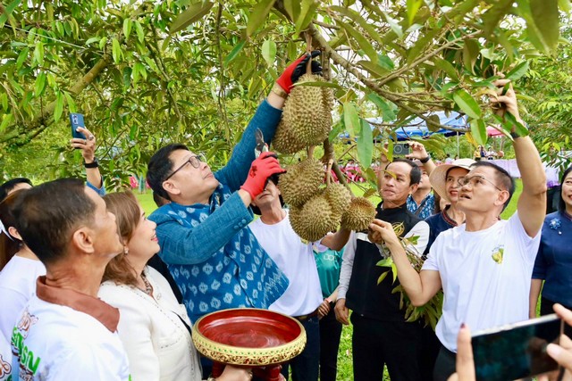 พิษณุโลก อบจ.พิษณุโลก ร่วมเปิดสวนประภาพรรณ @ บ้านแยง "ทุเรียนเนื้อครีม ...